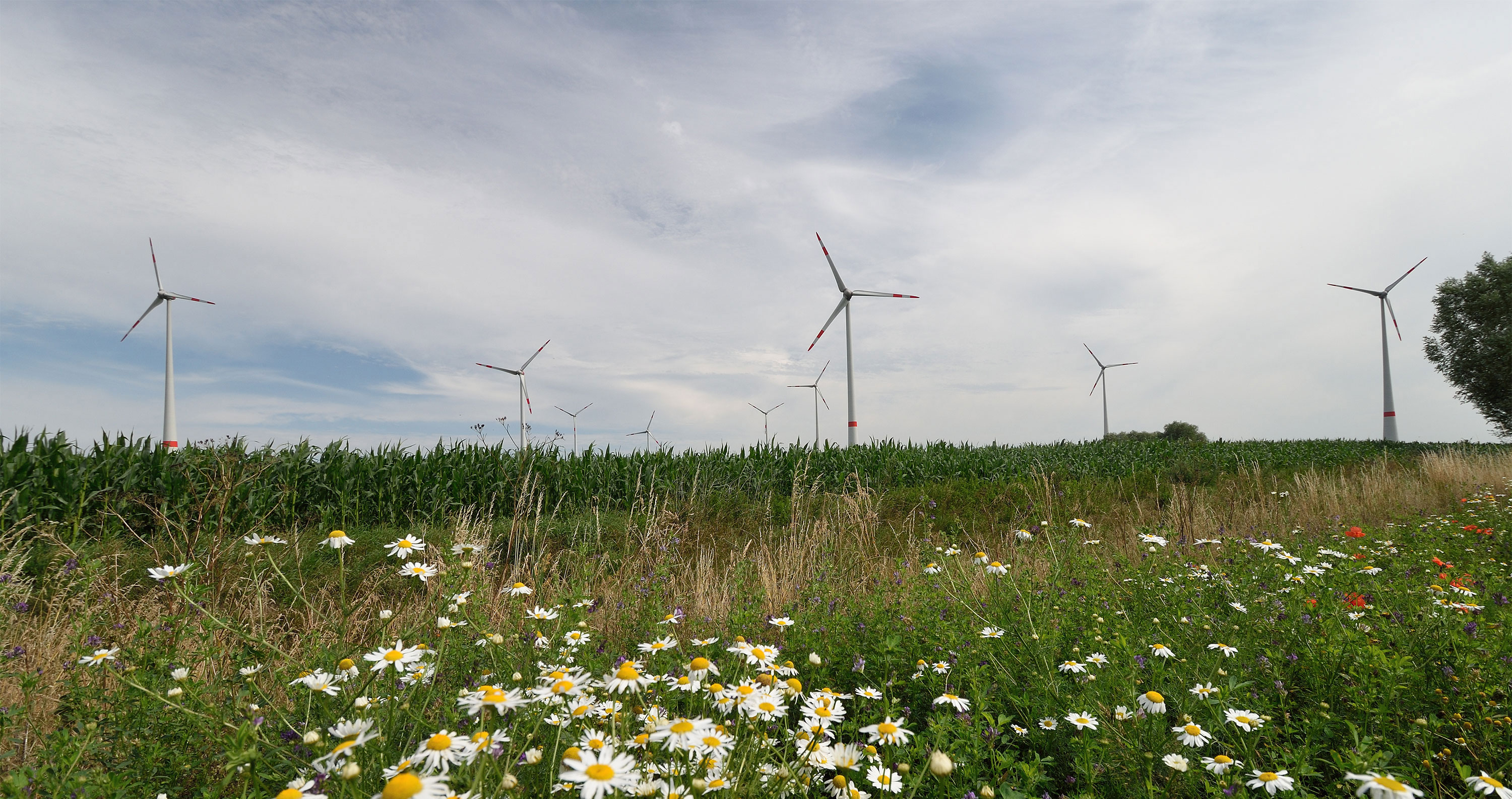 Investment : wpd.de/en/