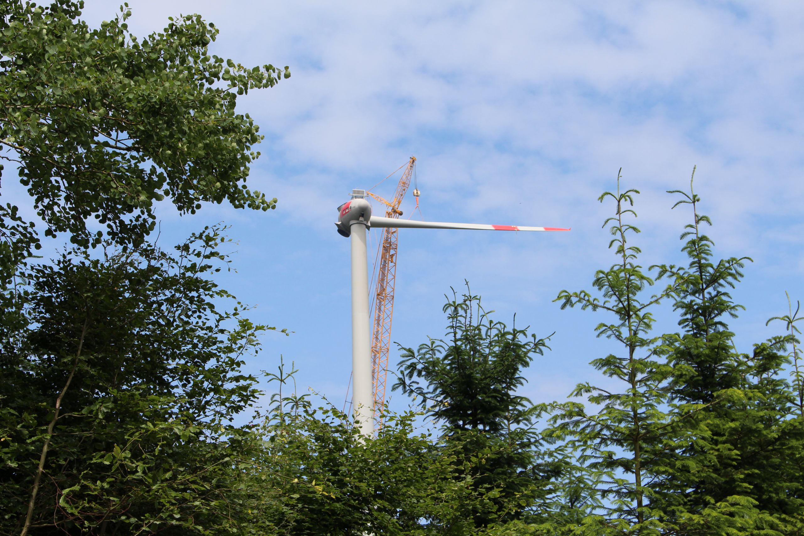 Entwicklung, Finanzierung, Bau und Betrieb von Wind- und Solarprojekten ...